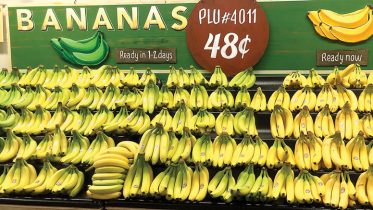 Home - Produce Business