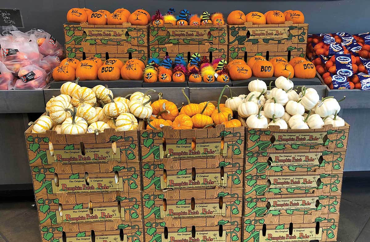 Fall Produce Merchandising: Colorful Ways To Display - Produce Business