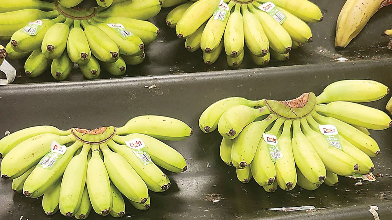 Betting on Bananas? Target Parents (and Kids) at Retail - Produce Business
