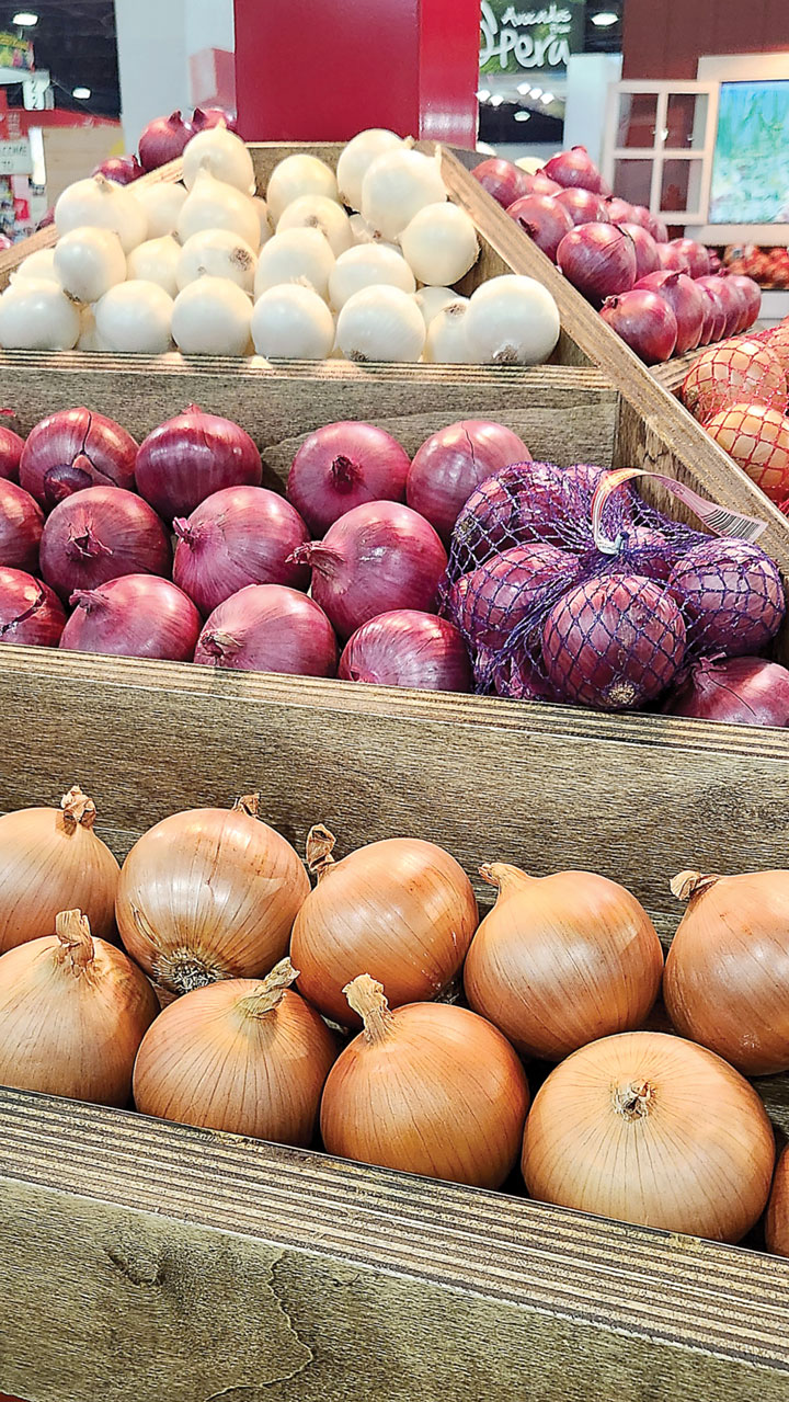 Promotions Key to Selling Imported Onions - Produce Business