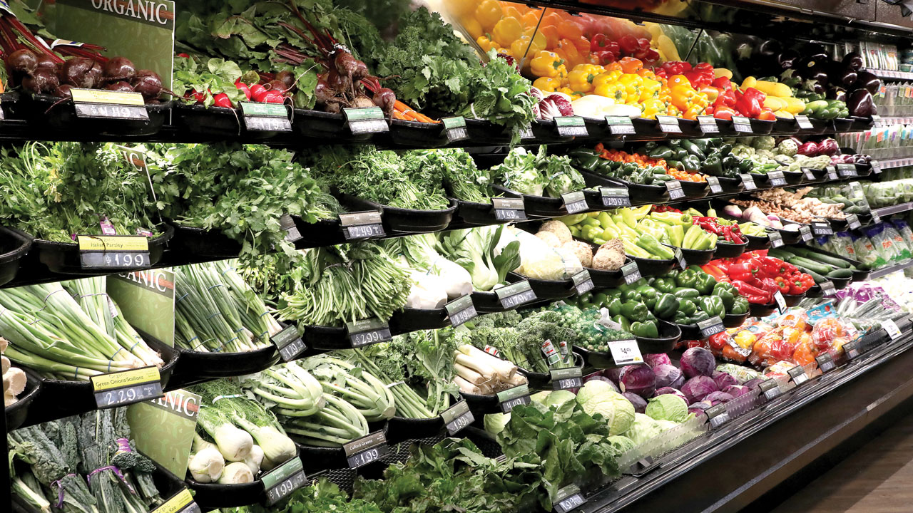 Big Y’s World Class Produce - Produce Business