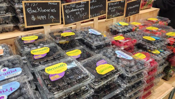 Nogales More Than Just Vegetables - Produce Business